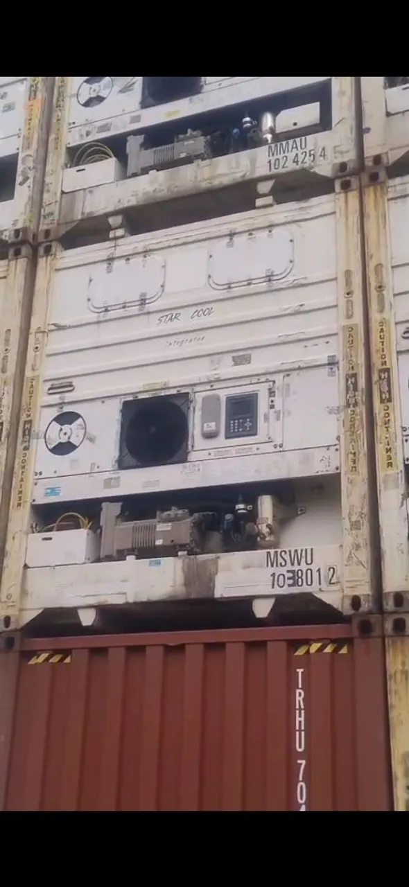 "container frigorifico refrigerado" no Brasil