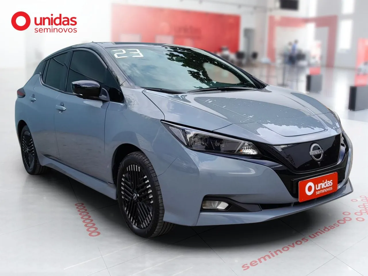 Nissan Leaf Usados e Novos