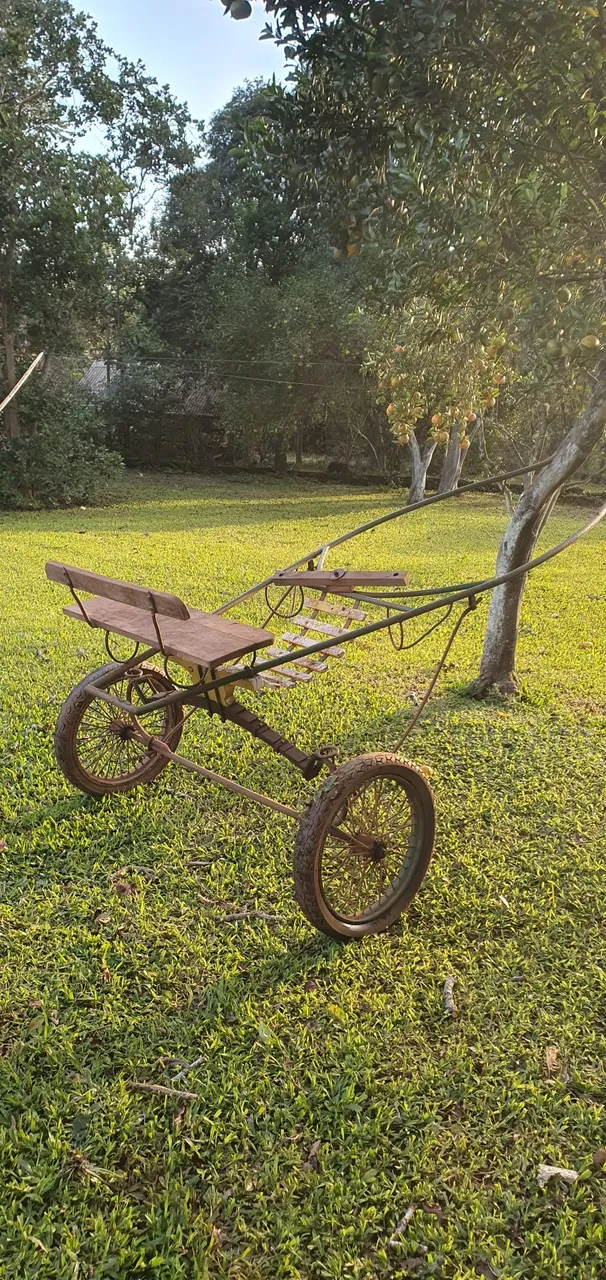 "arreios de charretes" no Brasil