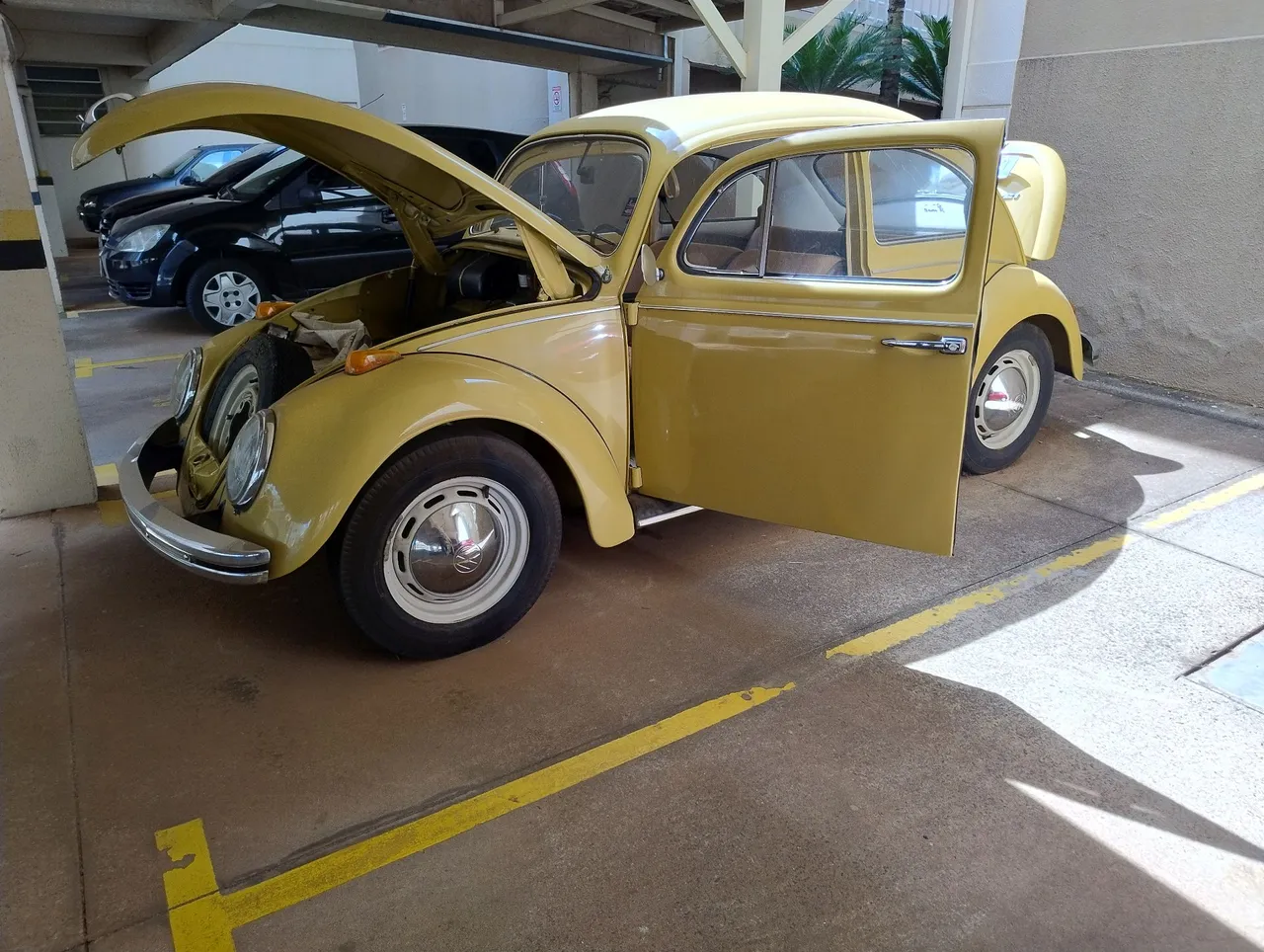VOLKSWAGEN FUSCA 1972 Usados e Novos em SP
