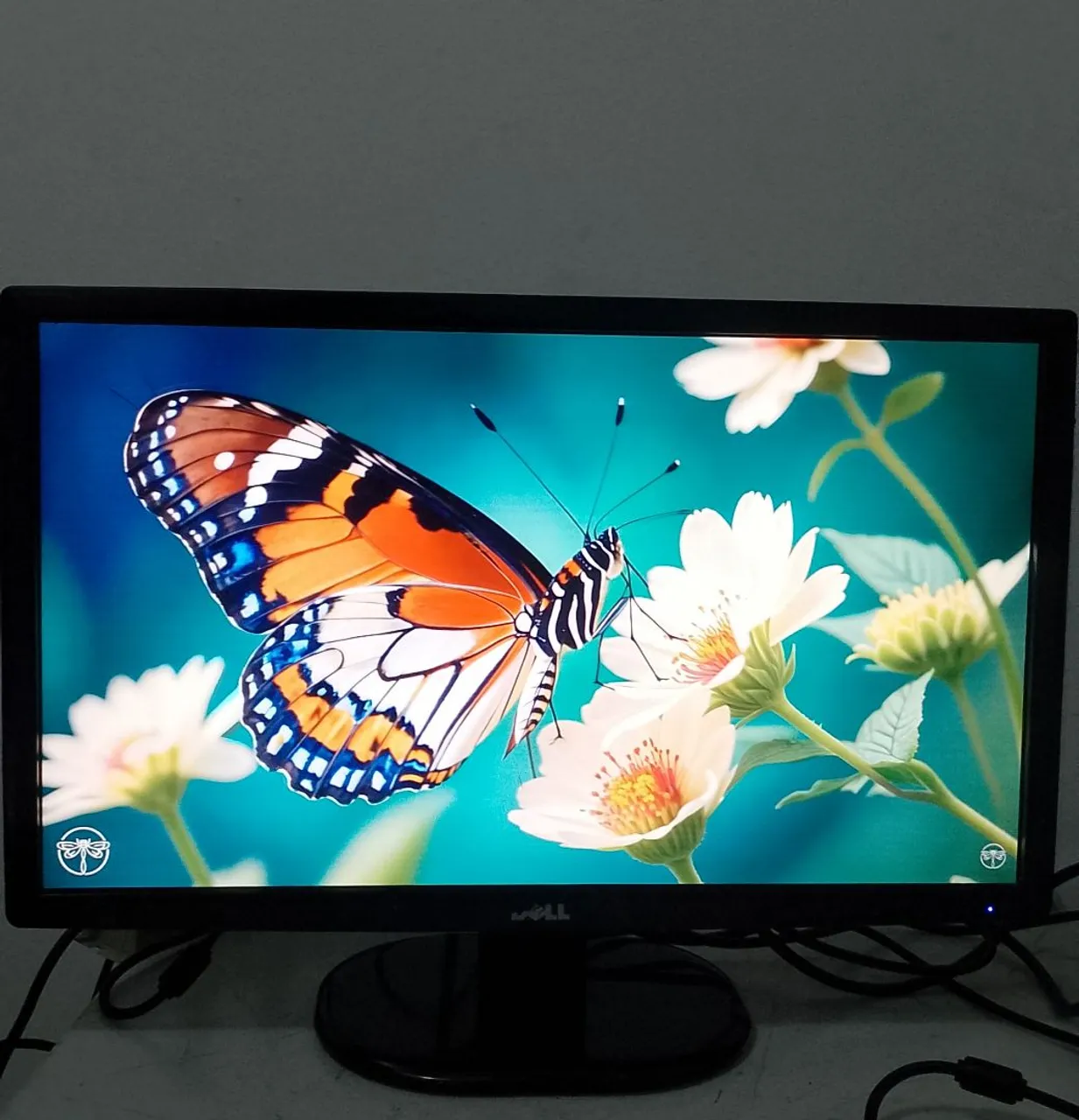 "monitor dell 22 polegadas" - Monitores no Brasil