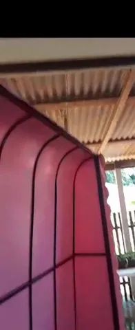 "toldo rosa" no Brasil