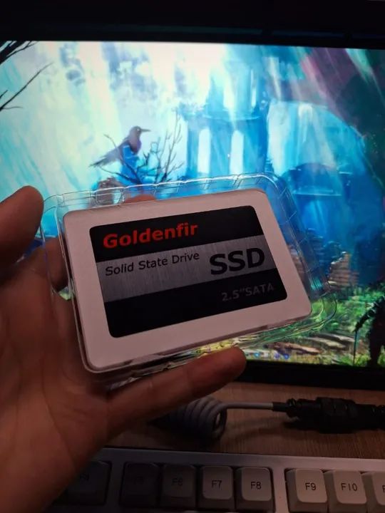 SSD Goldenfir 256gb Sata 3 Novo