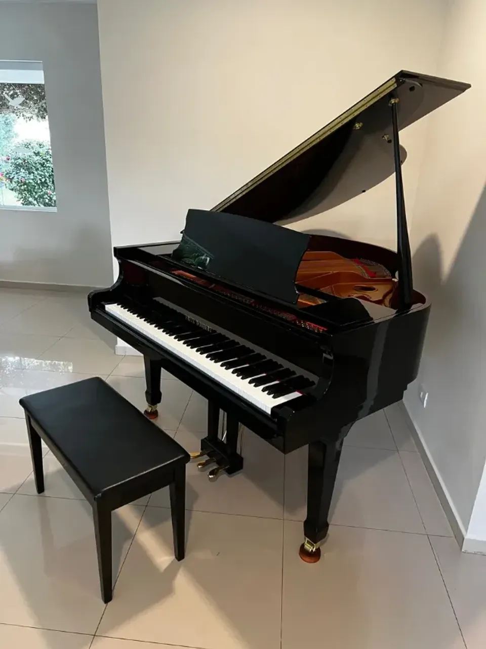 "pianos de cauda" - Instrumentos musicais no Brasil