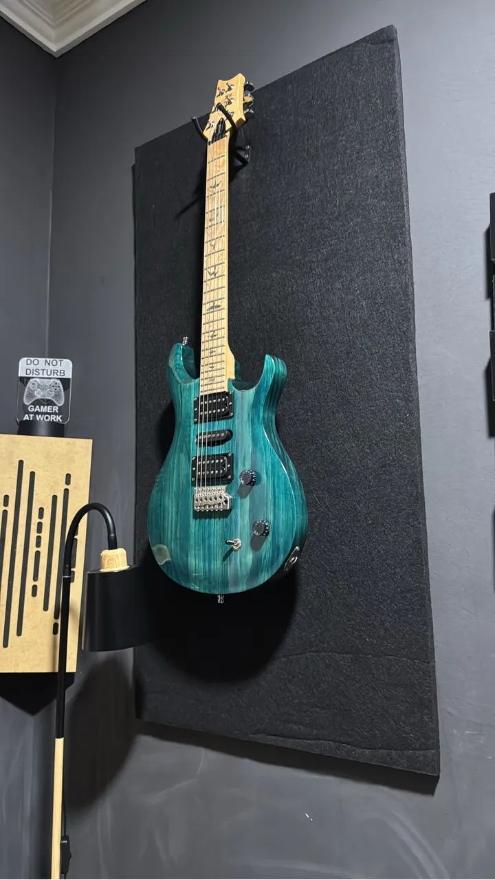 Guitarra PRS SPECIAL Swamp Ash em estado de Nova, toda Original com Bag ...