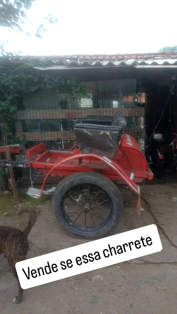 "charetes" no Brasil