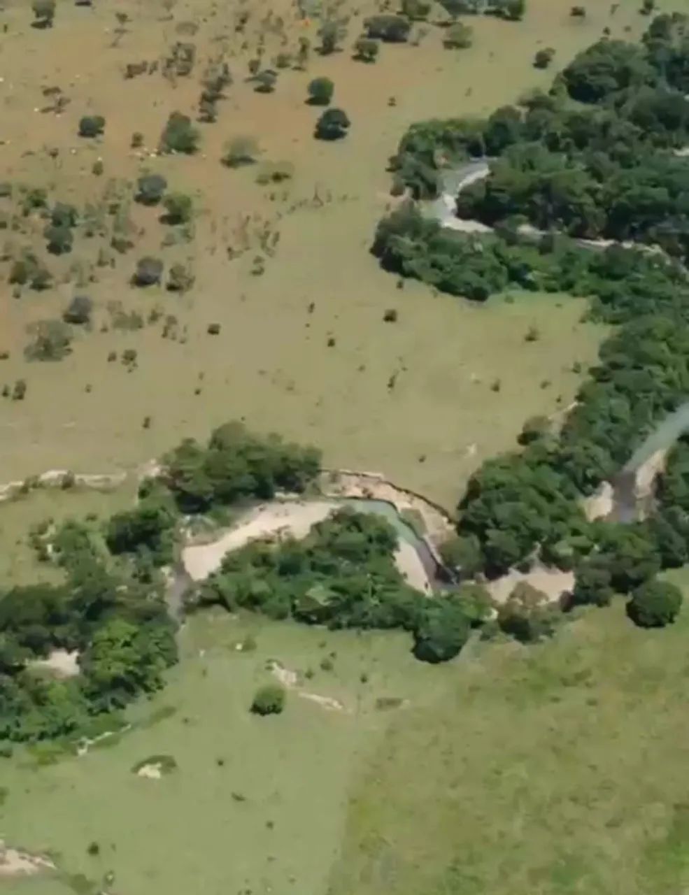 Fazenda 250 hectares, formada 3.200.000 - Terrenos, sítios e fazendas ...