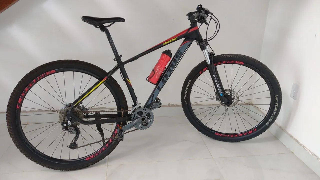 "lotus shark" no Brasil