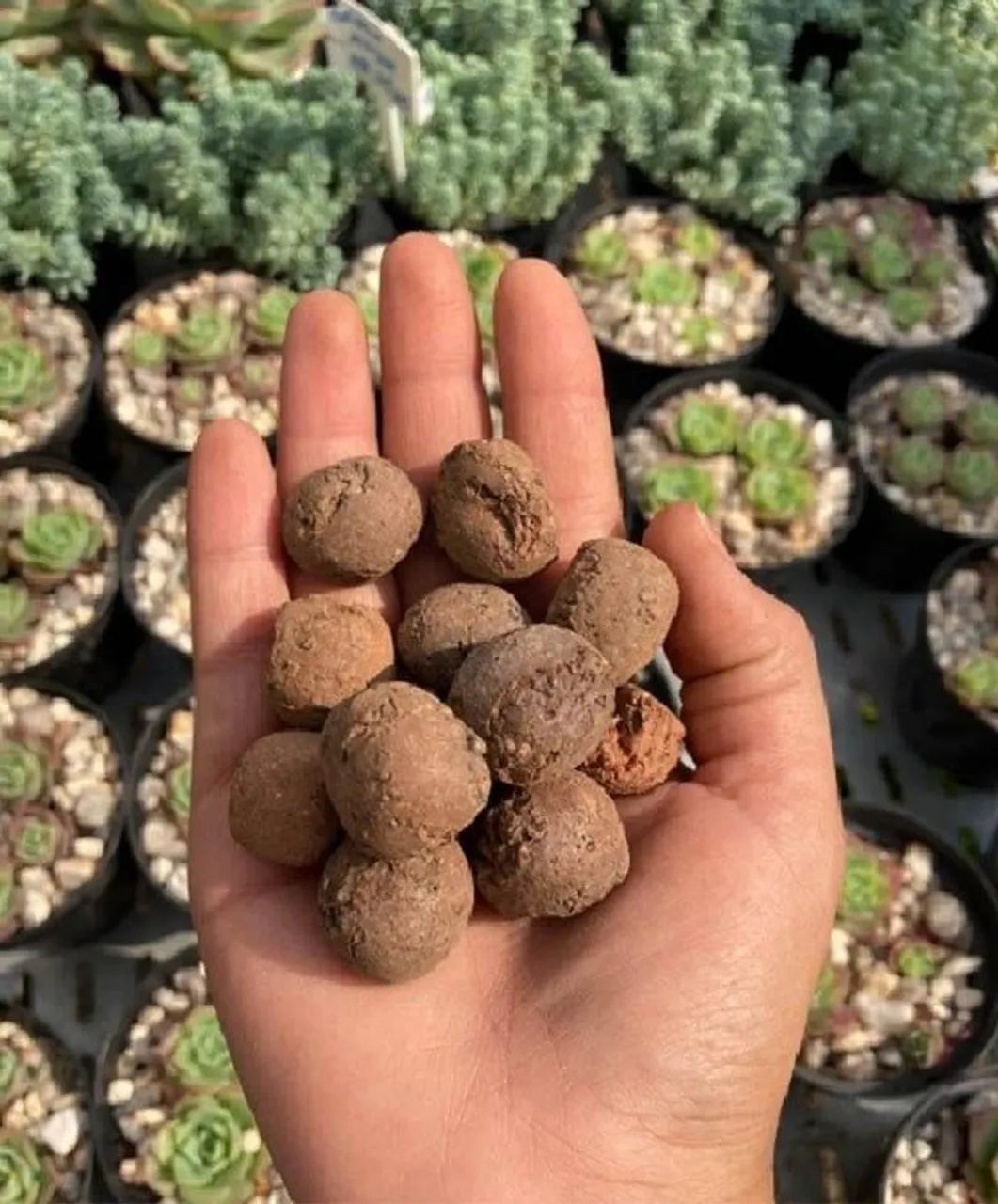 Argila expandia (ENTREGAMOS em toda moc) - Jardinagem e Plantas ...