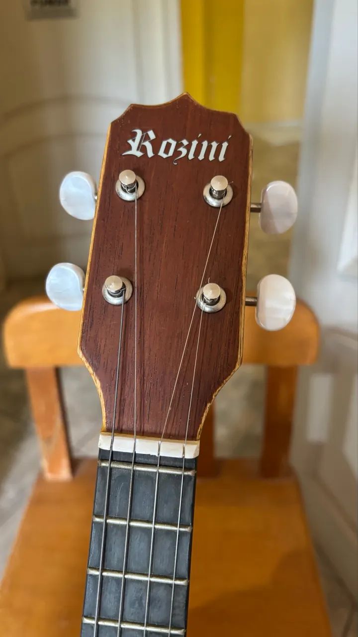 Instrumento musical Banjo Rozini - Instrumentos musicais - Centro ...