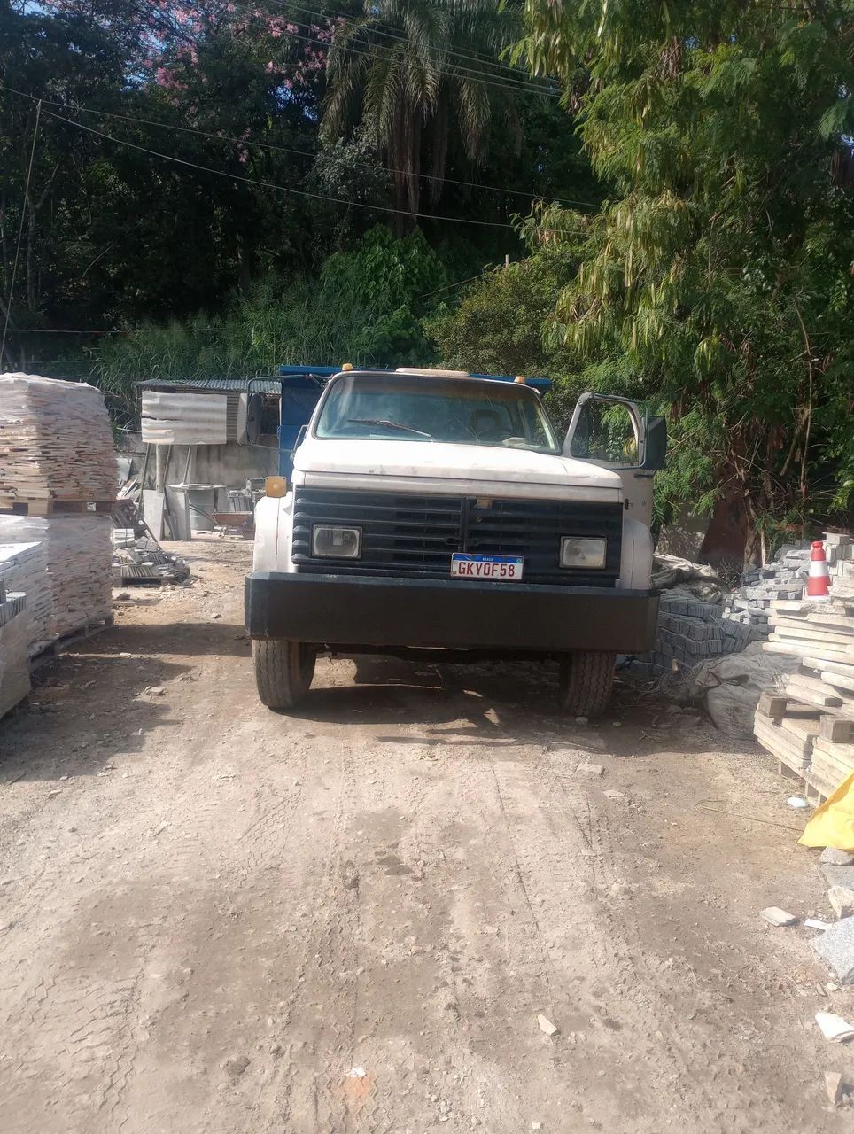 Caminhão D12000 Chevrolet - Caminhões - Industrial, Contagem 1399031033 | OLX