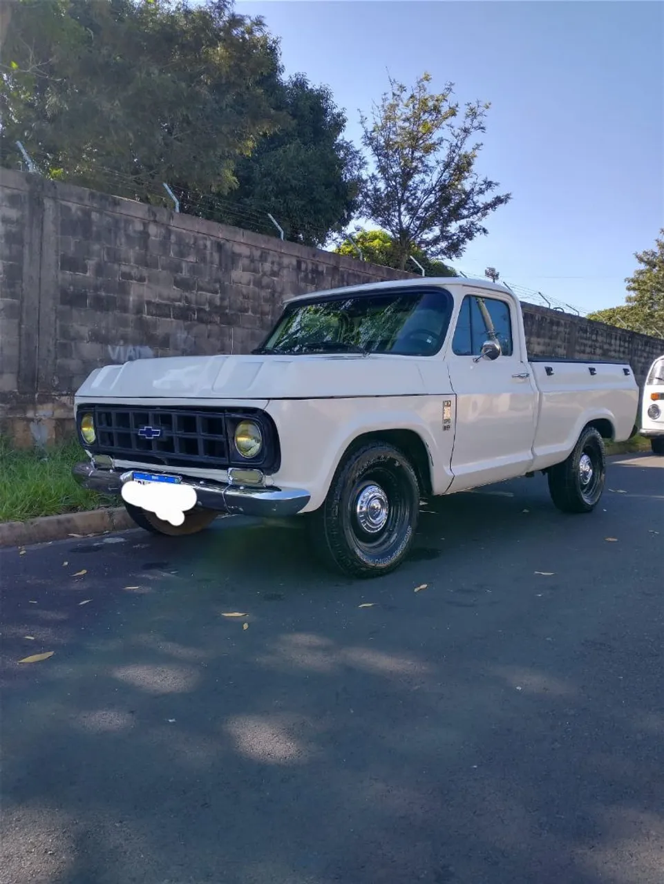 CHEVROLET D-10 Usados e Novos