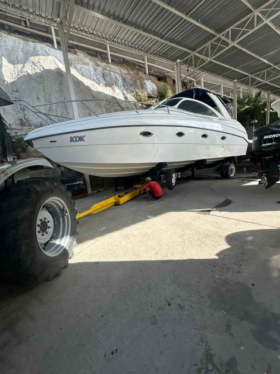 "cimitarra" no Brasil