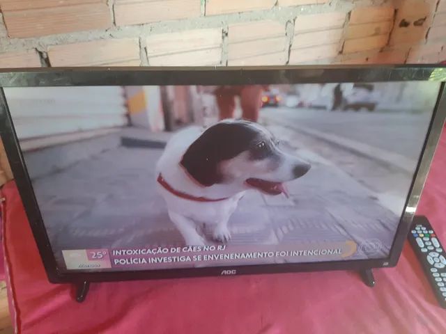 "tv led aoc 24 polegadas" no Brasil