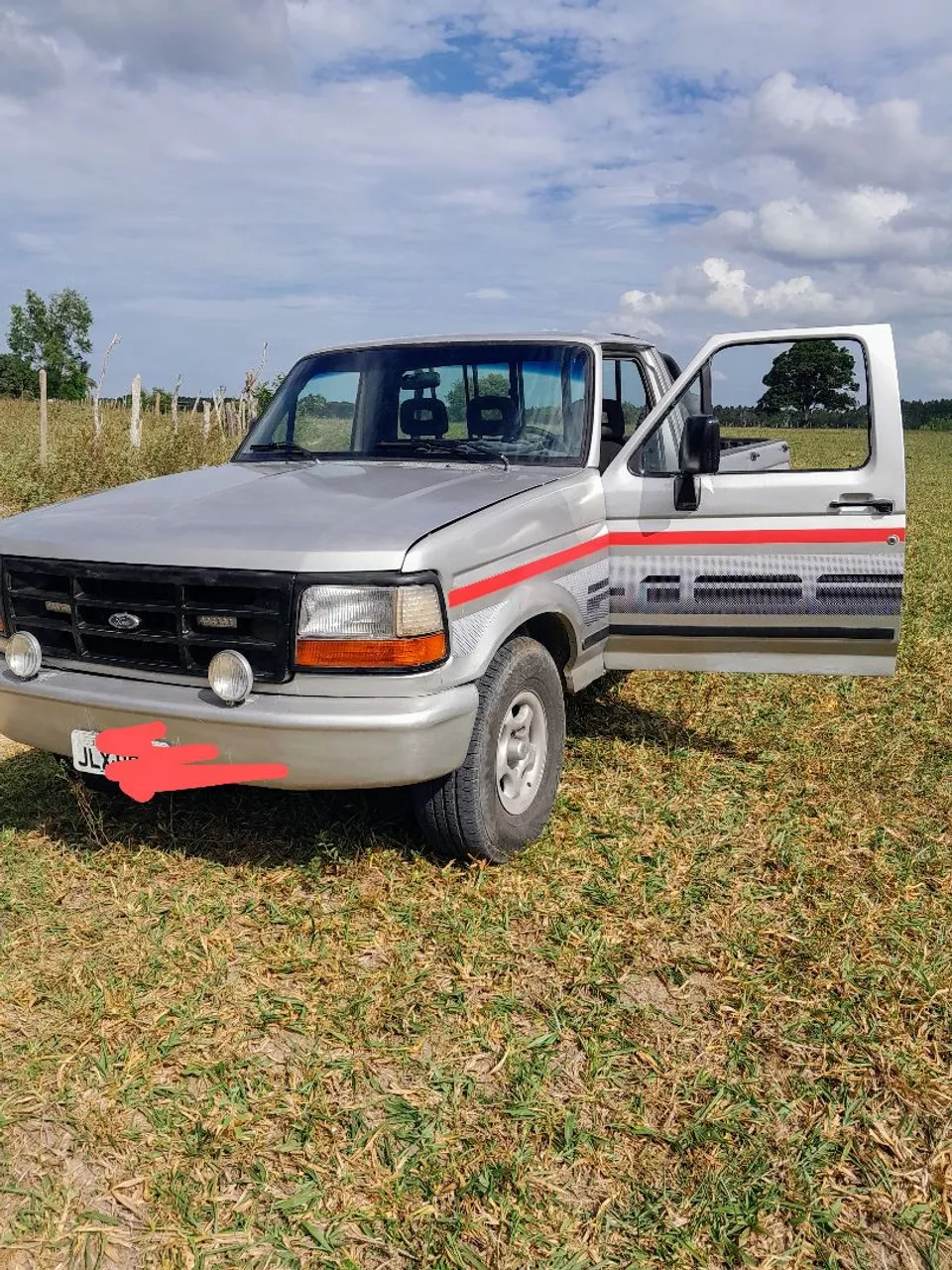 FORD F-1000 Usados e Novos