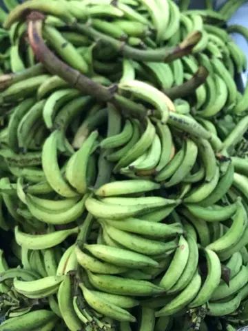 "banana pacovan" no Brasil