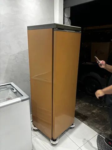 "freezer vertical prosdocimo" no Brasil