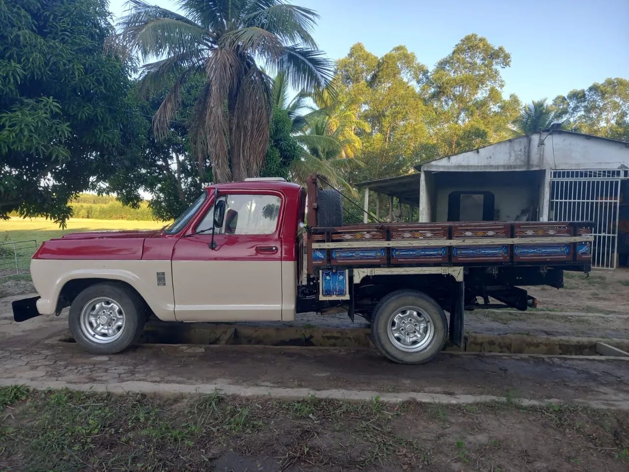 CHEVROLET D-10 Usados e Novos