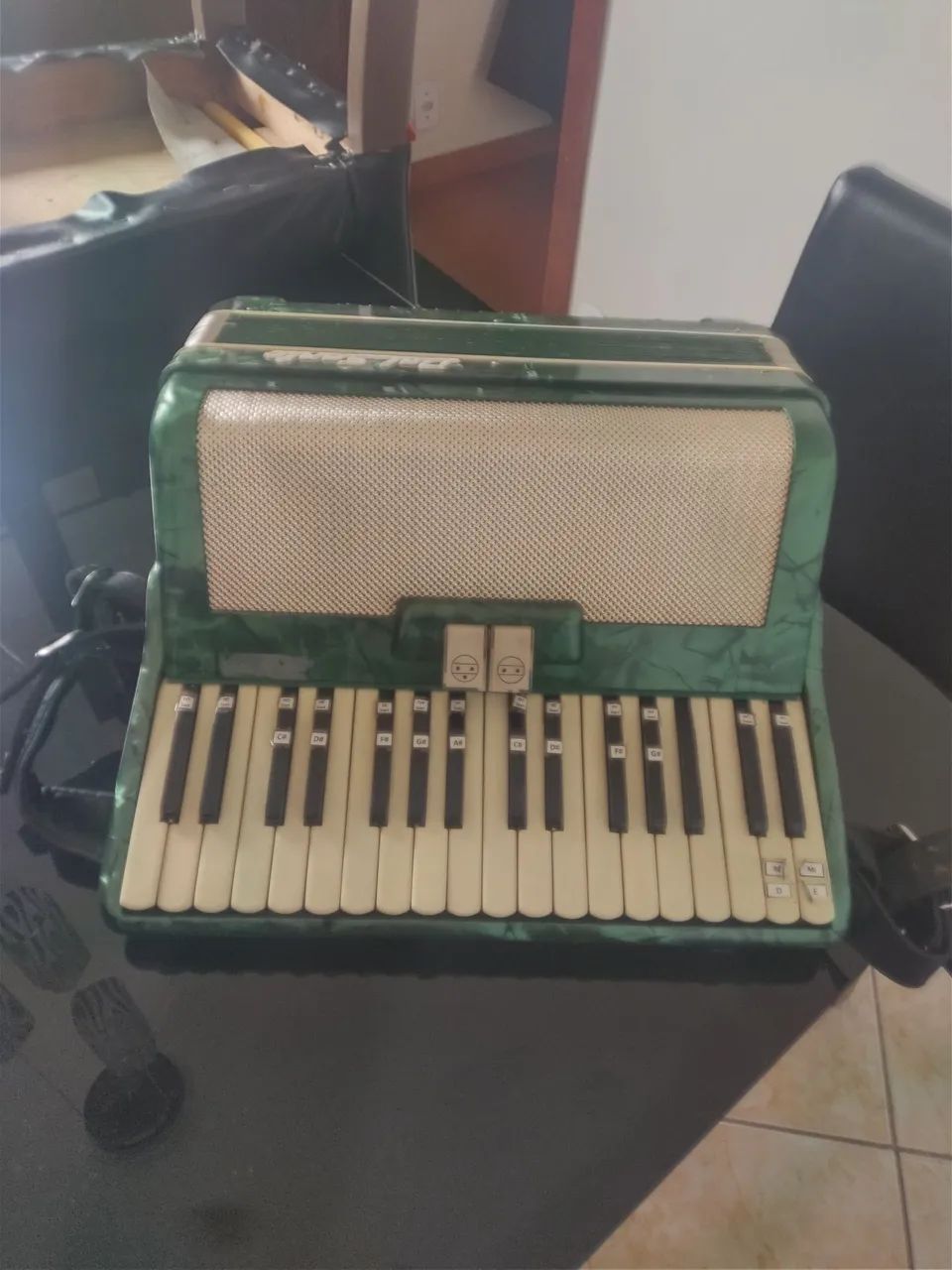 Acordeon Dal Santo - Instrumentos musicais - Céu Azul, Belo Horizonte ...