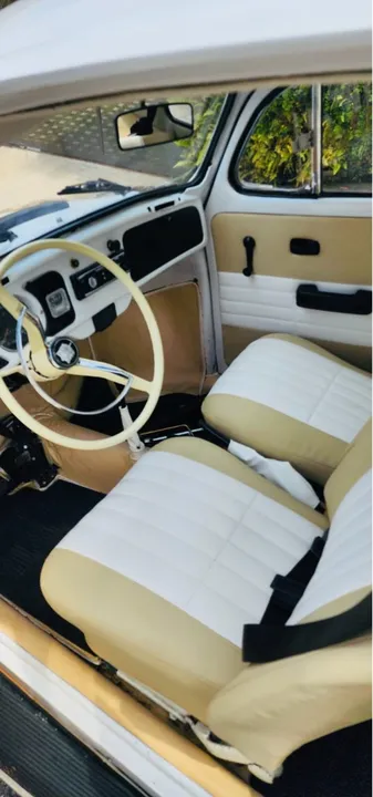 VOLKSWAGEN FUSCA 1979 Usados e Novos