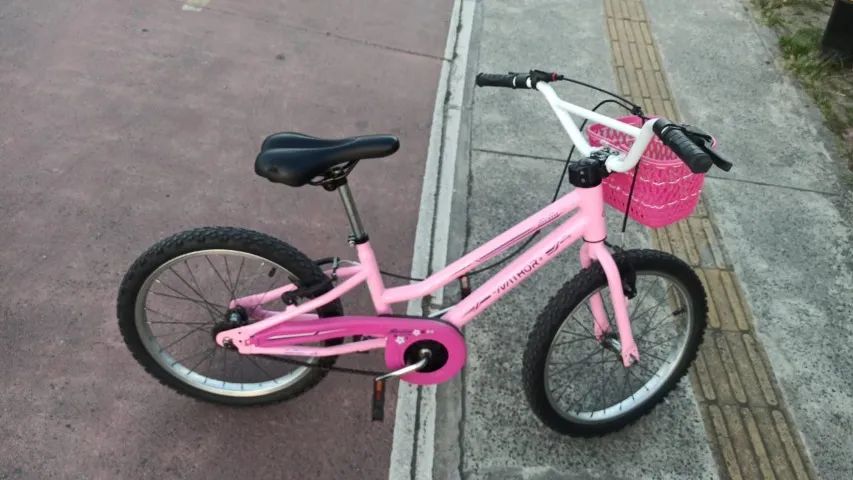 Bicicleta Infantil Bella Aro 20 Aro de Alumínio com Cesta - Rosa ...