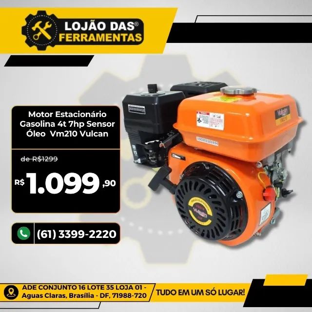 "motor estacionario a gasolina" no Brasil