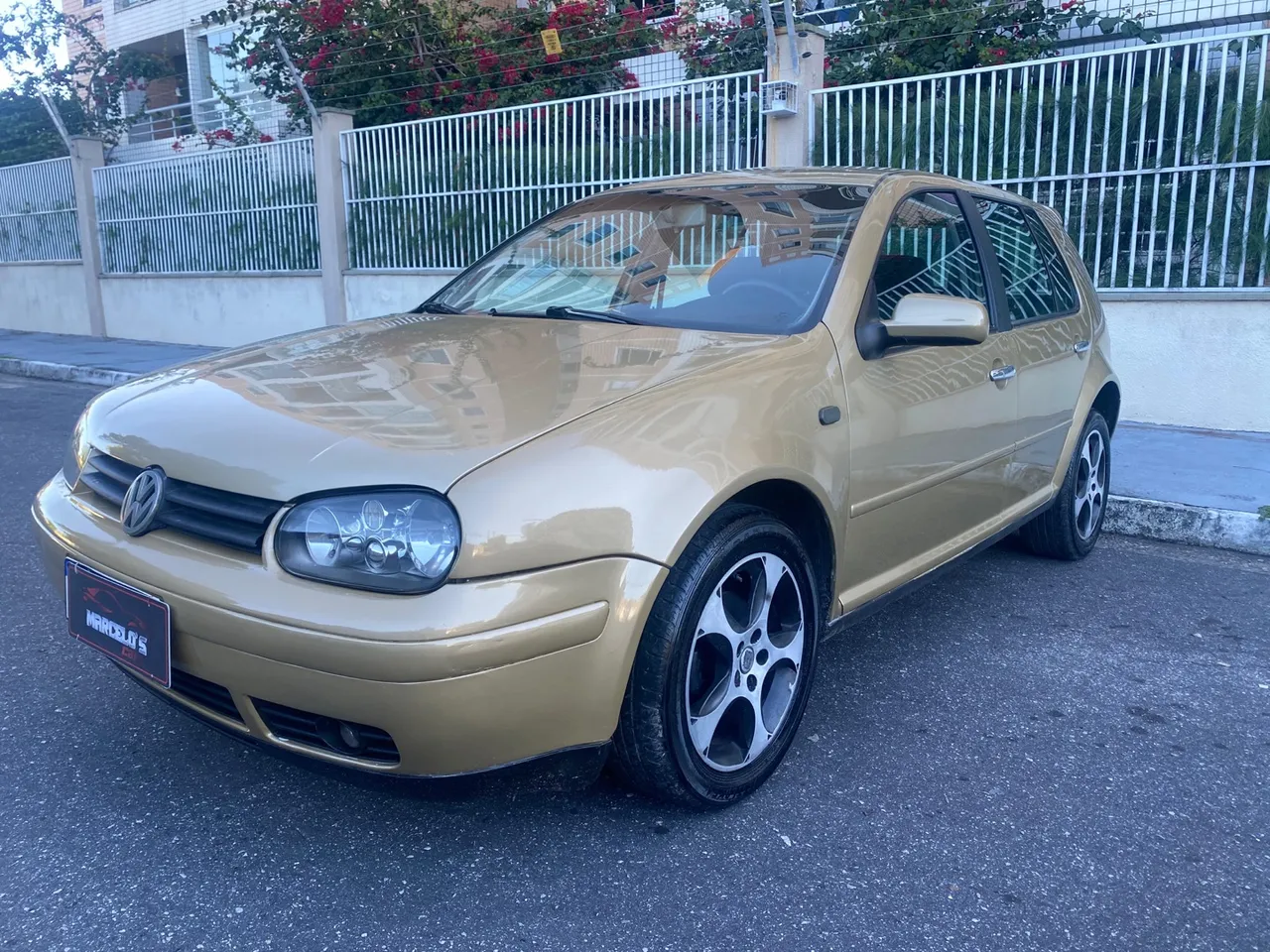 "golf sapao" no Brasil