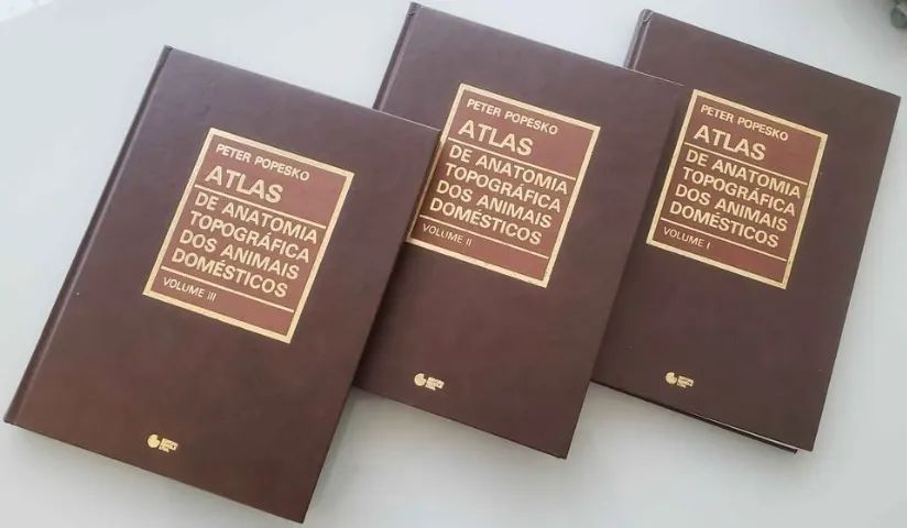 Coleção Atlas de Anatomia Topográfica dos Animais Domésticos - Peter ...