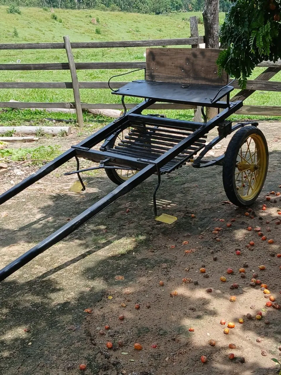 "charetes" no Brasil