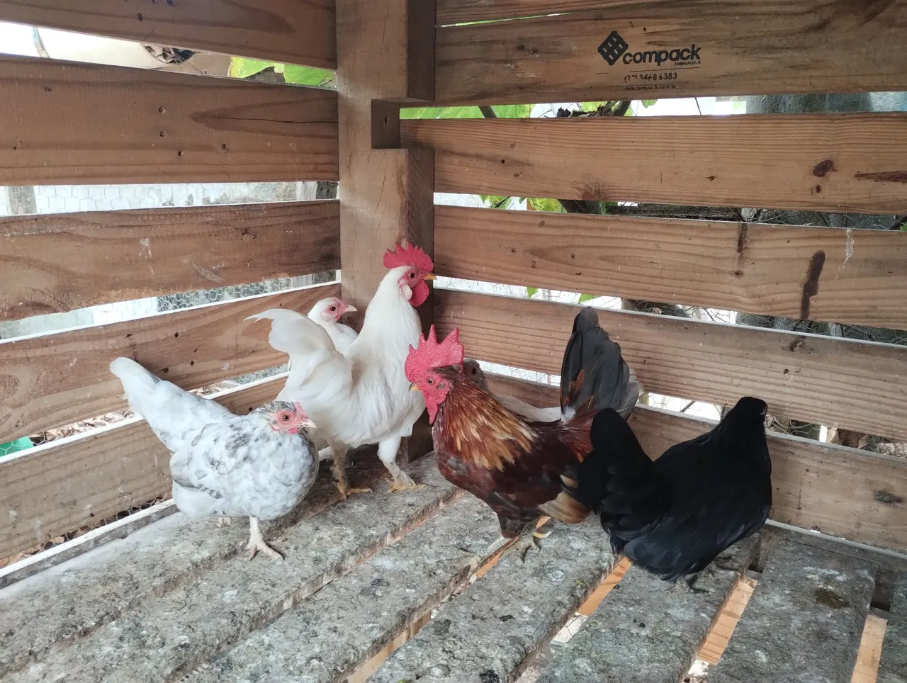 "garnizes" no Brasil