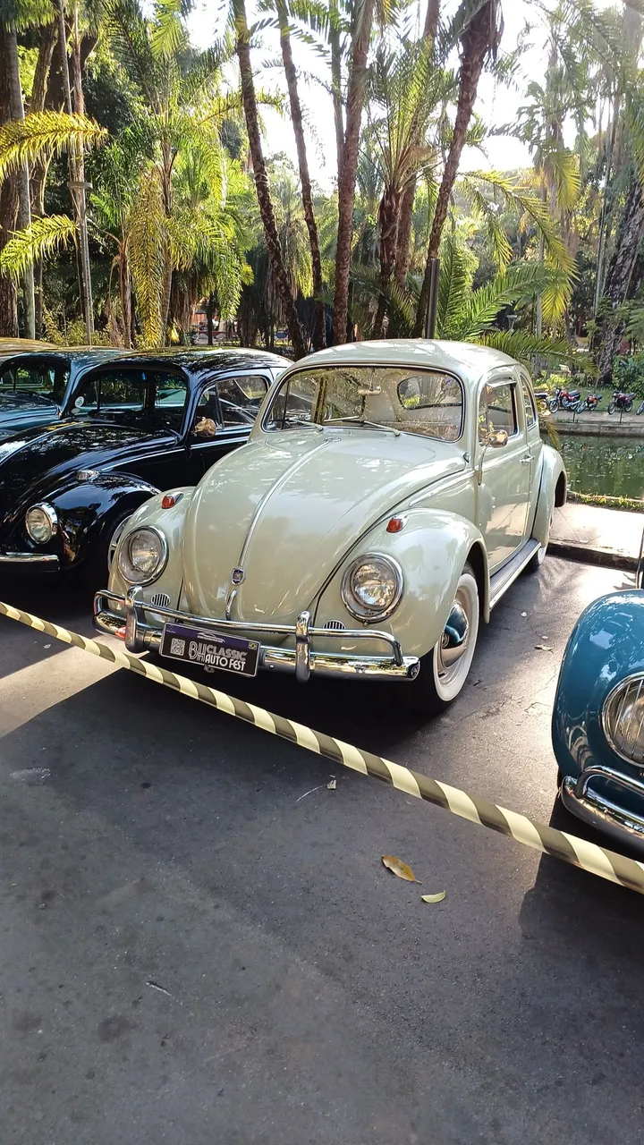 VOLKSWAGEN FUSCA 1961 Usados e Novos