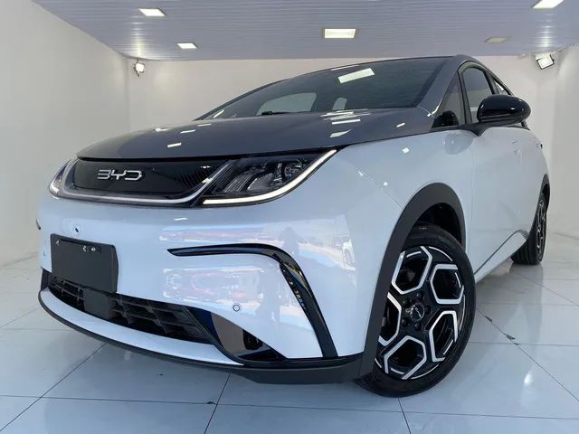BYD DOLPHIN Usados e Novos