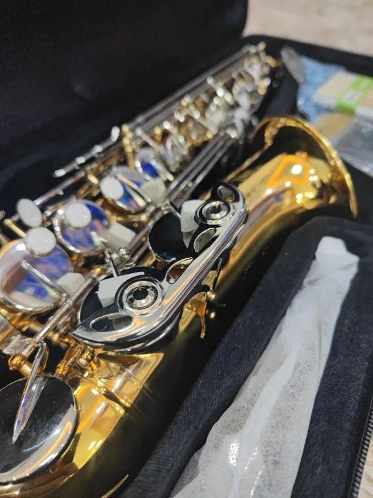 R$ 1.750,00 Sax Alto Lade Designed by USA - Corpo Laqueado, Chaves ...
