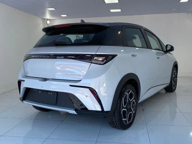 BYD DOLPHIN Usados e Novos