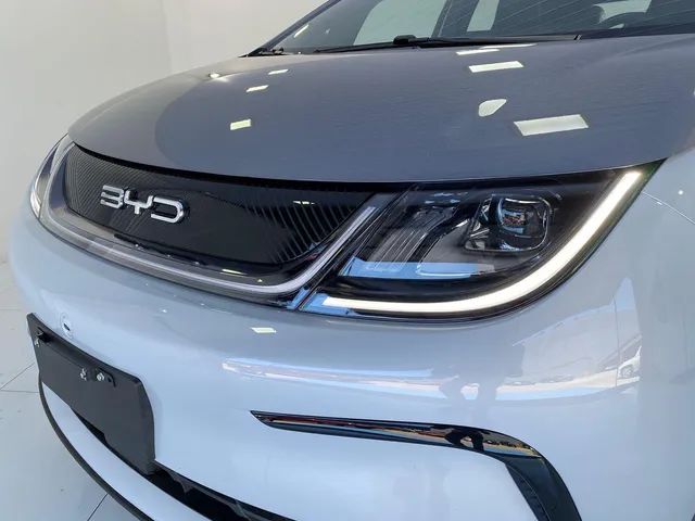 BYD DOLPHIN Usados e Novos