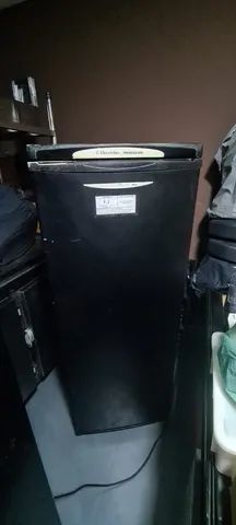 "freezer vertical prosdocimo" no Brasil