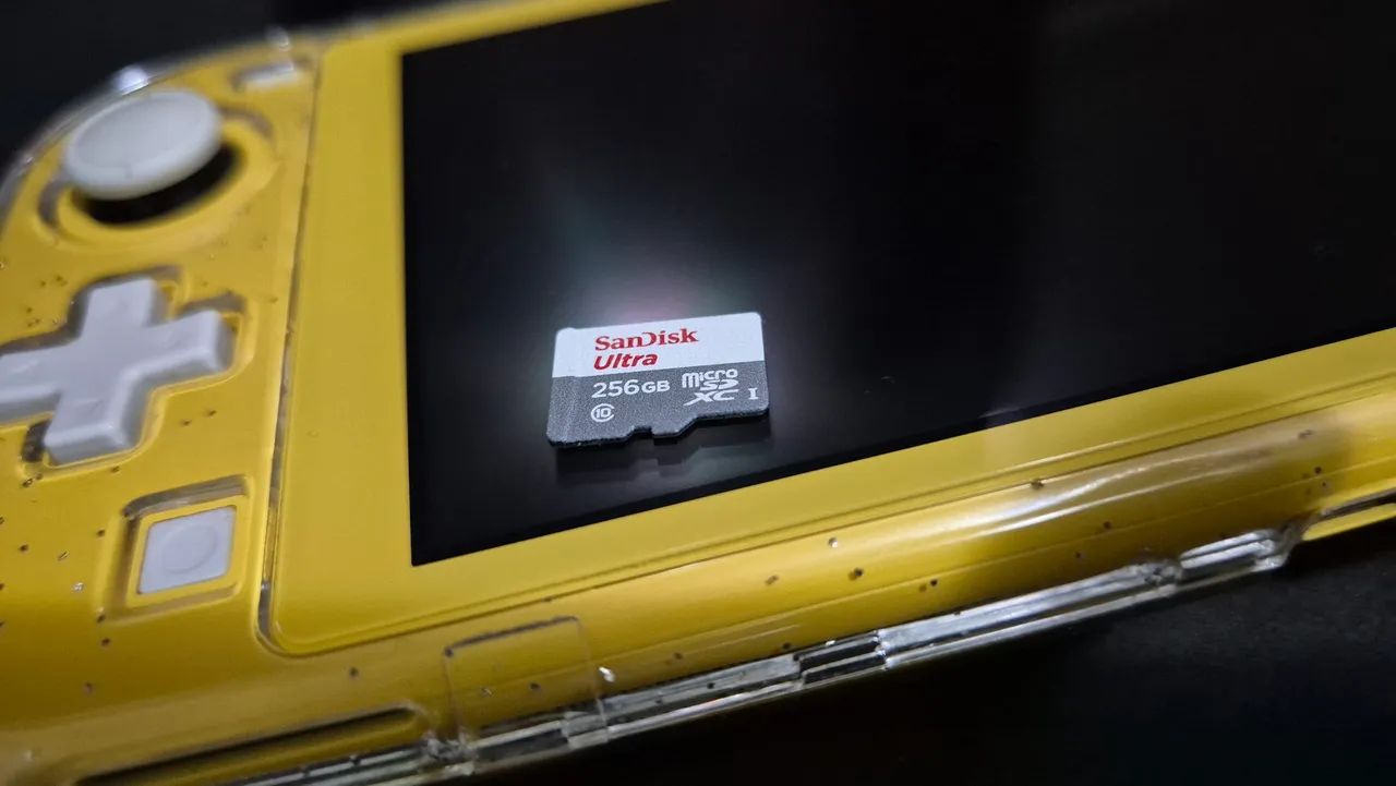 Nintendo Switch Lite Desbloqueado 256gb - Consoles de Vídeo Game - Boa ...
