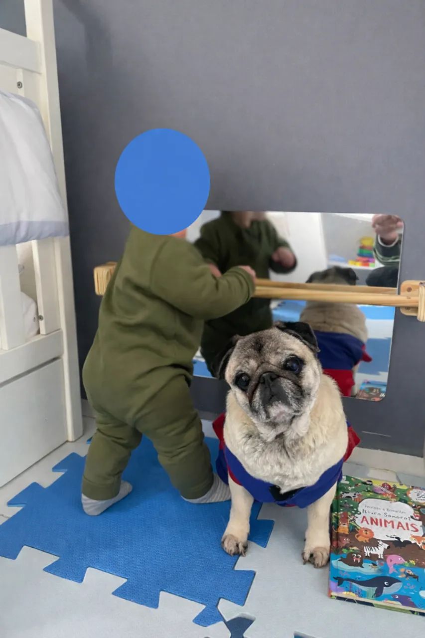 Barra de Apoio Montessori 75 cm - Madeira Pinus Natural - Móveis ...