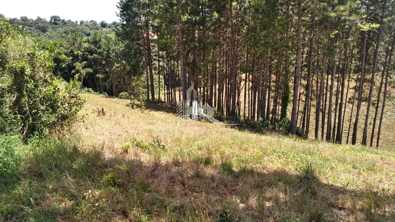 Terreno com 1 Dormitorio(s) localizado(a) no bairro Centro em Contenda ...