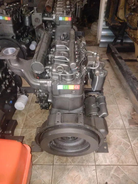 "motor mwm 229" no Brasil