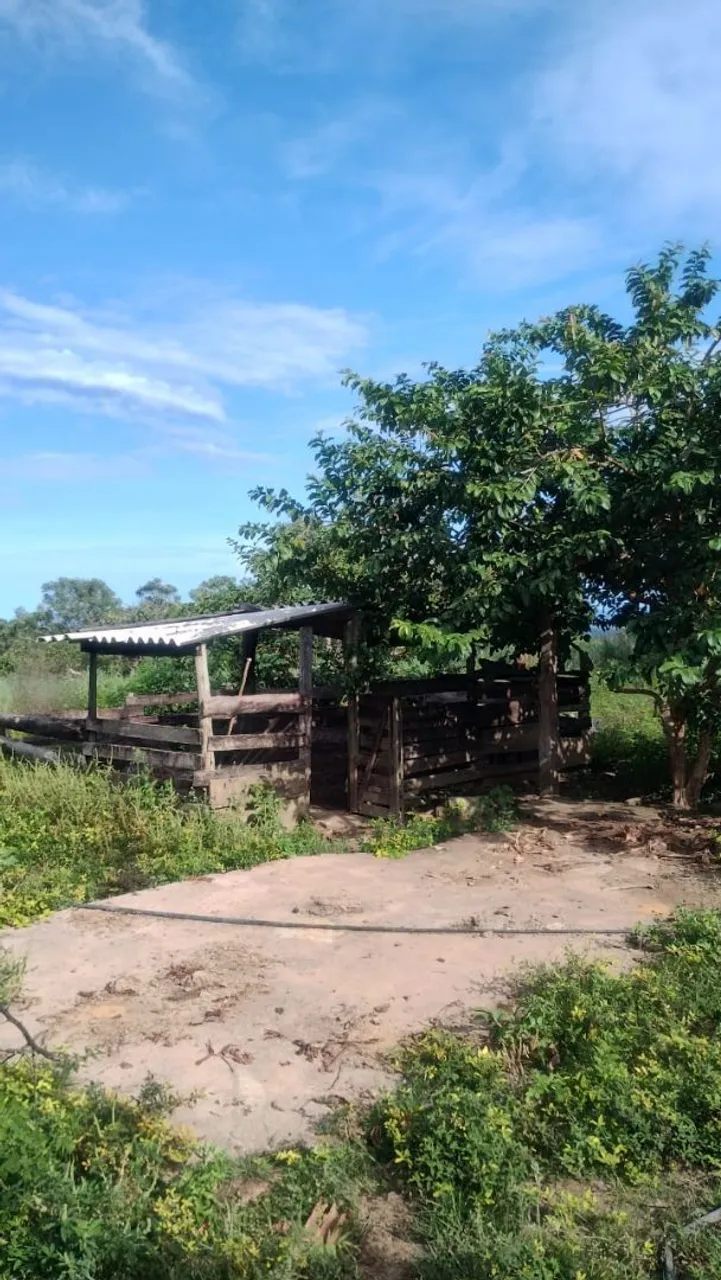 "formosa goias" no Brasil