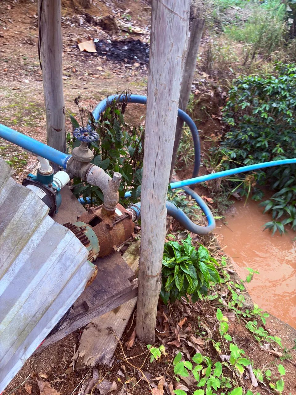 Despolpador de café - Tratores e máquinas agrícolas - Domingos Martins ...