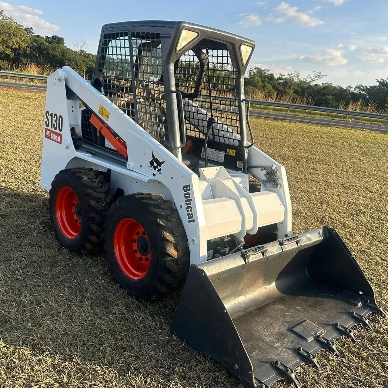 "mini bobcat" no Brasil