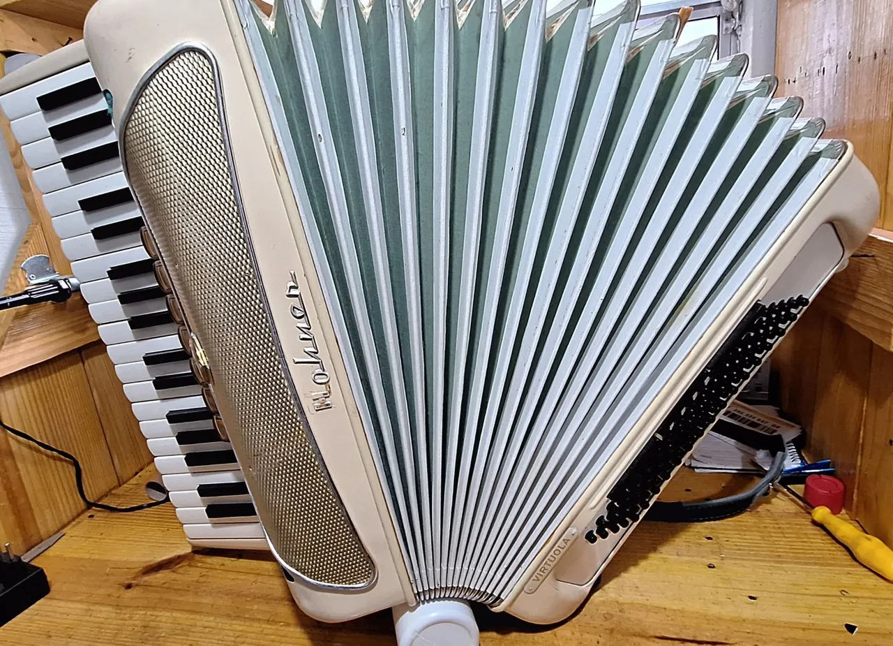 "acordeon hohner" no Brasil