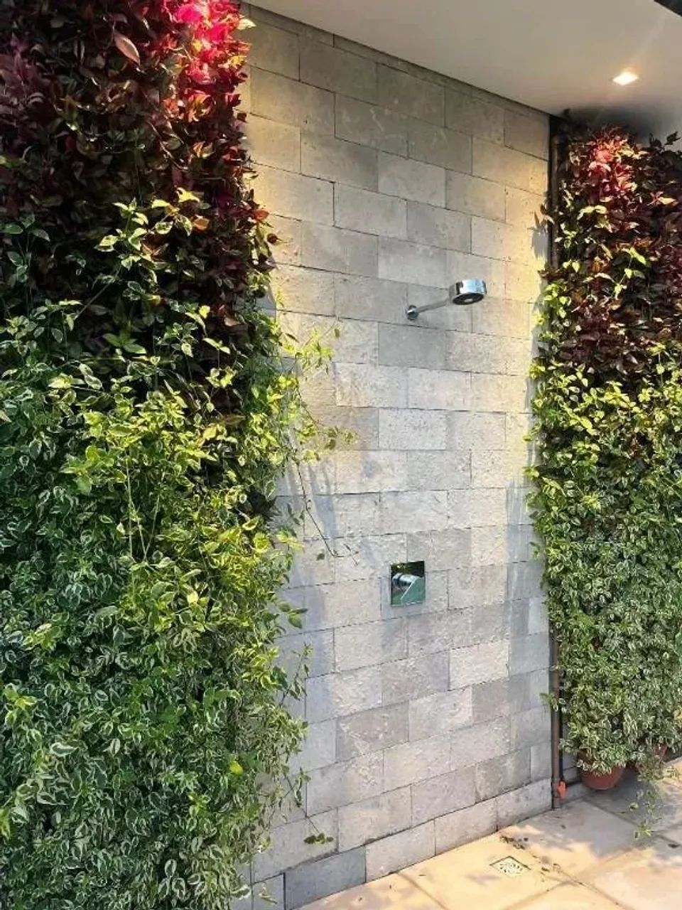 Casa 4 quartos à venda - Ribeirão do Lipa, Cuiabá - MT 1469342923 | OLX