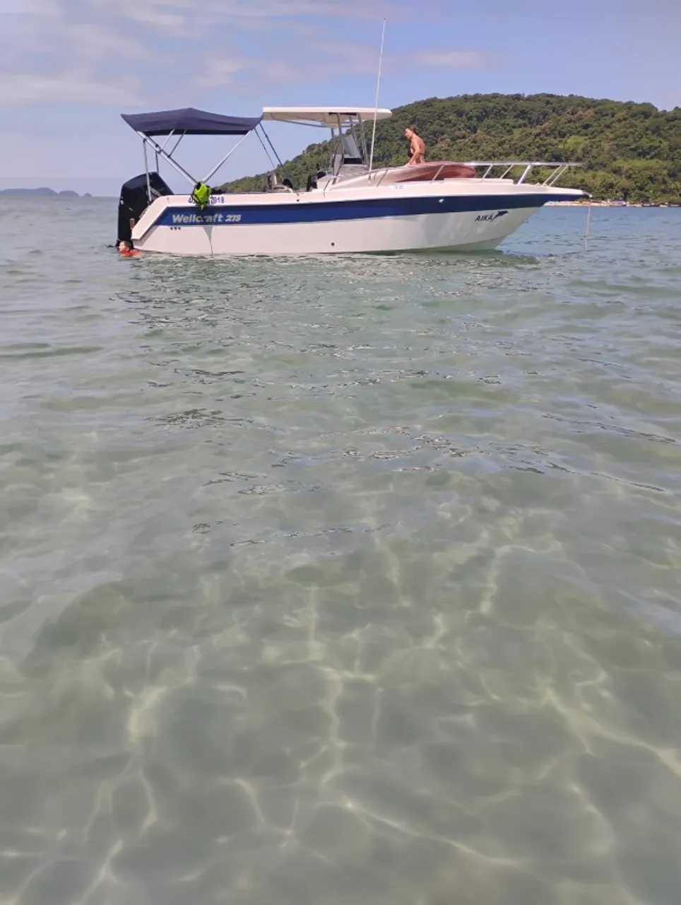 "wellcraft" no Brasil