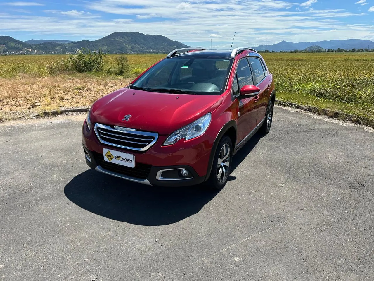 PEUGEOT 2008 2018 Usados e Novos