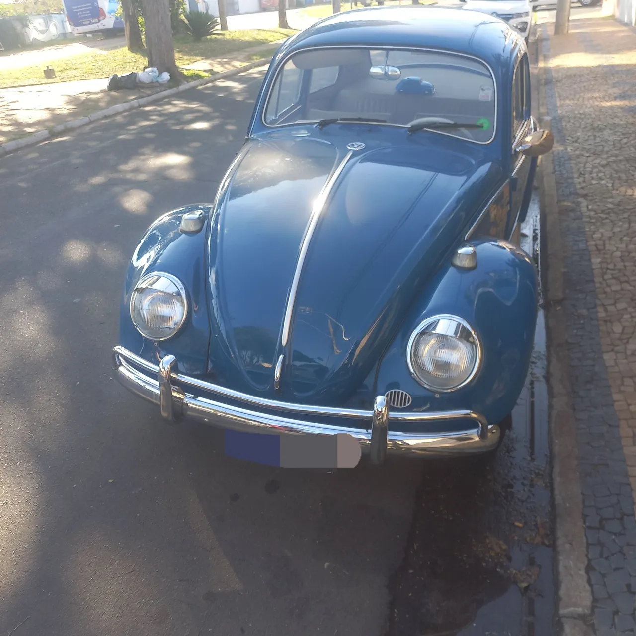 VOLKSWAGEN FUSCA 1969 Usados e Novos