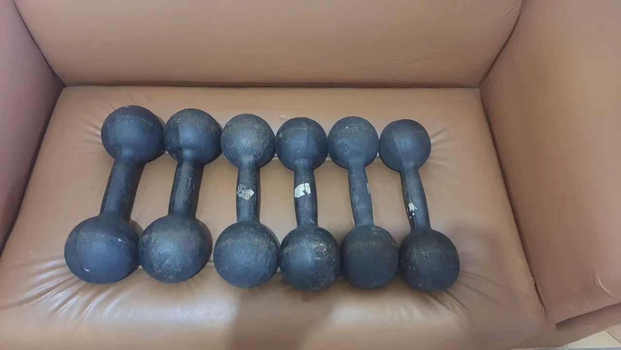 "kit de pesos de academia" - Academia e Exercícios no Brasil