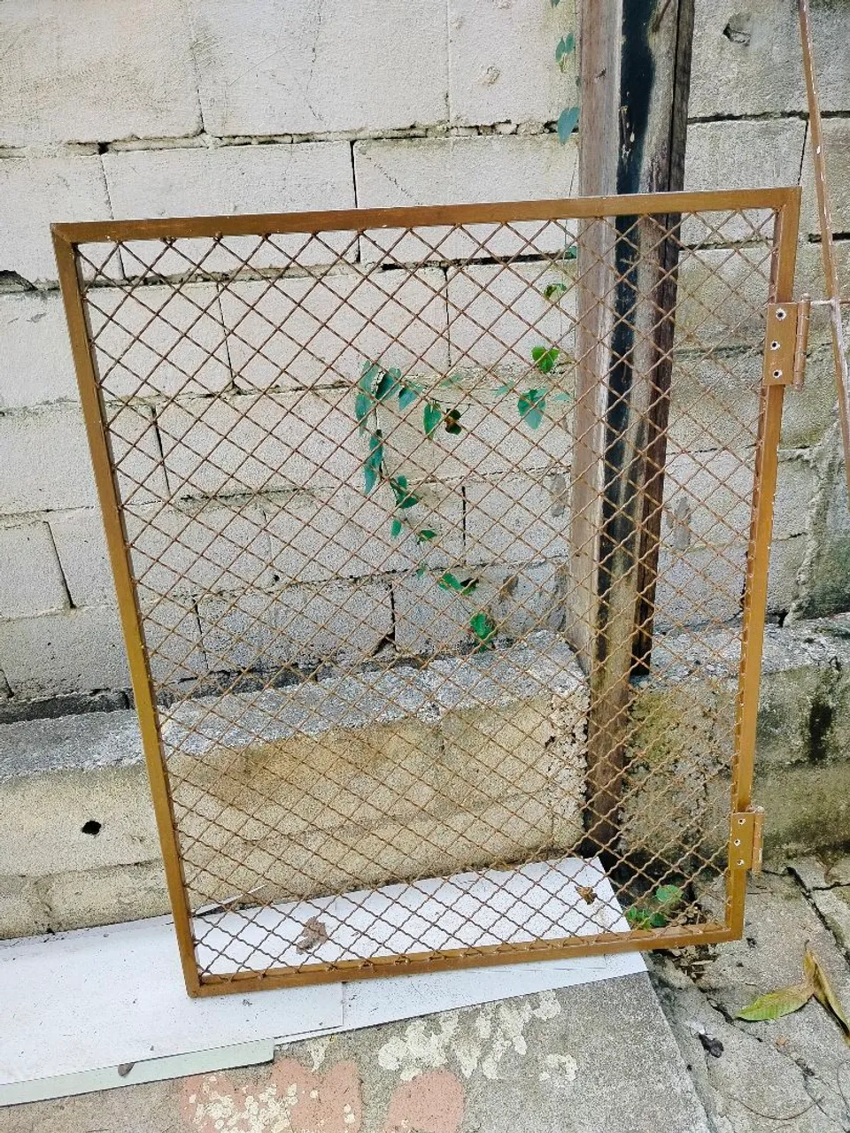 "portao e grade de ferro" - Portas e Janelas no Brasil